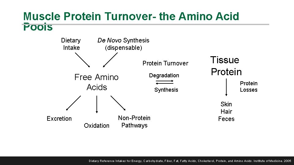 PROTEIN OVERVIEW Lecture content provided by GSSI a