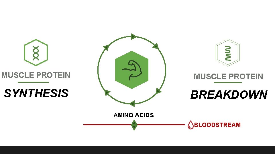 PROTEIN OVERVIEW Lecture content provided by GSSI a
