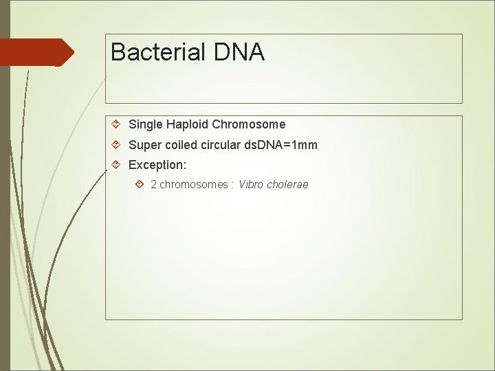 Bacterial Genetics GENETICSStudy of genes their structure function