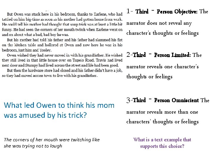 Authors Point of View Describe how a narrators