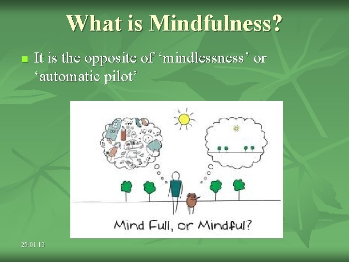 Mindfulness Workshop Dr Margaret Mc Lean Acute Psychology