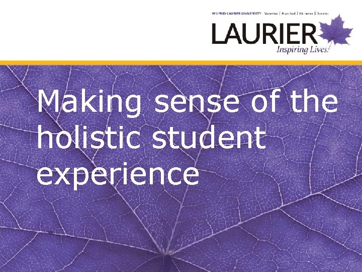 Making sense of the holistic student experience Meet
