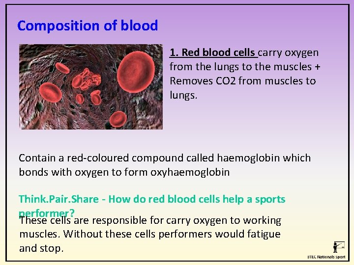 Unit 1 Anatomy and Physiology Assessment Outcomes AO