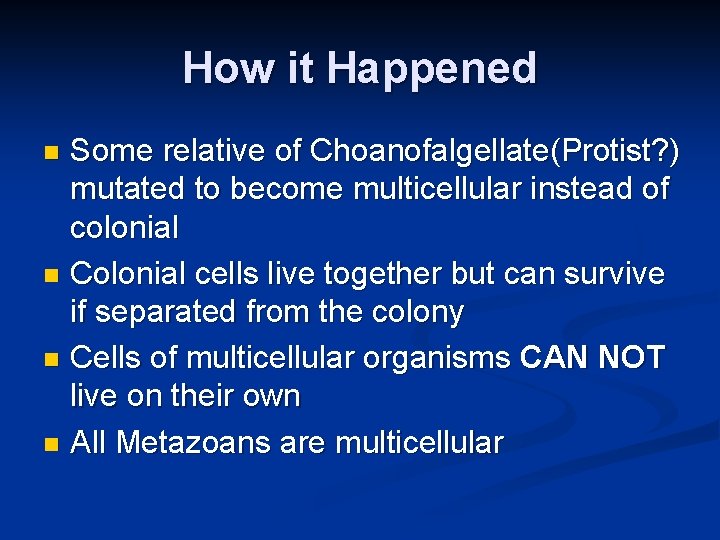 Invertebrate Evolution From Protist to Animials Fungi Opisthokonta