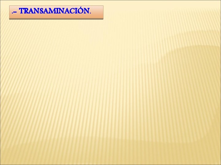 METABOLISMO DE LOS AMINOCIDOS 1 Esquema General del