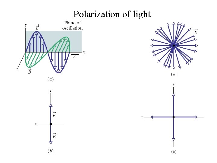 Lecture 13 Electromagnetic Waves Chp 34 Thursday Morning