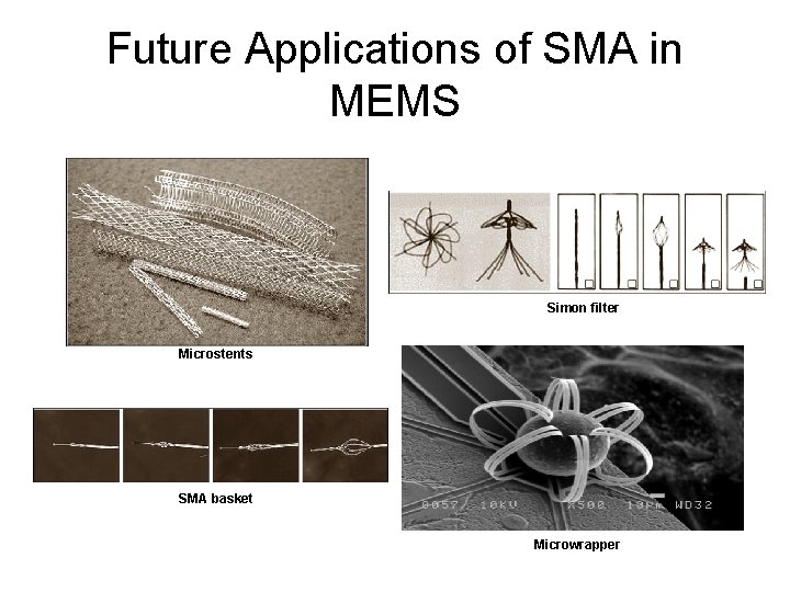 Applications of Shape Memory Alloys to MEMS MAE