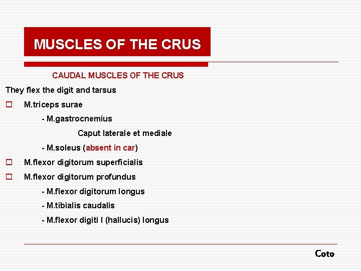 Musculi thoracis Muscles of the trunk o M