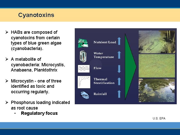 Innovative Surface Water Systems for Nutrient Removal to