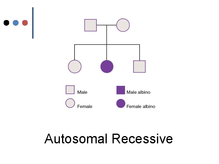 PEDIGREE CHARTS A family history of a genetic