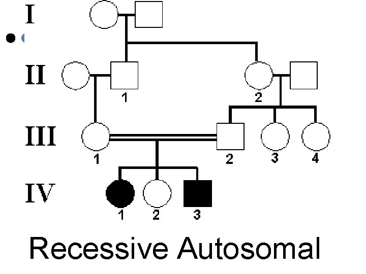 PEDIGREE CHARTS A family history of a genetic
