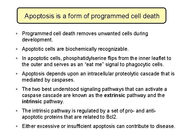 Apoptosis is a form of programmed cell death