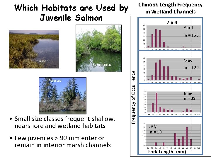 Role of Tidal Saltwater Habitats for Juvenile Salmonids