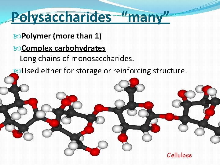 Semester 2 Final Review Part 2 Carbohydrates Photosynthesis