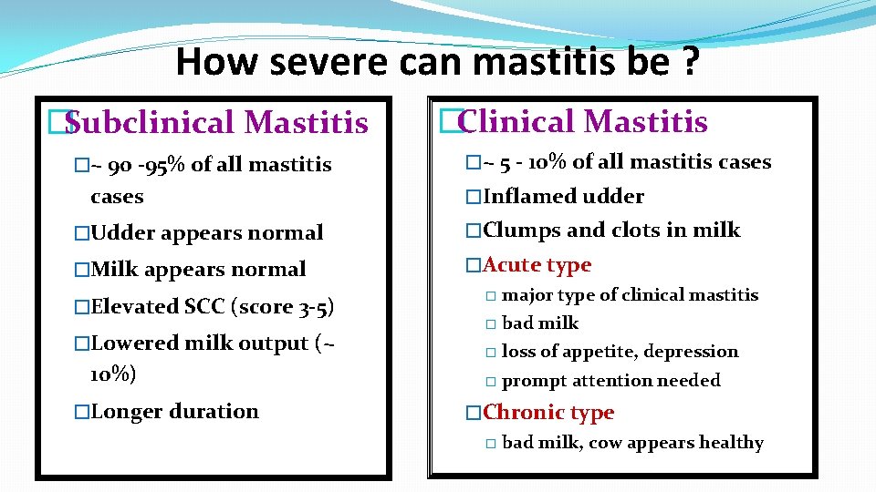 Mastitis in Bovine Ovine Dr Alyaa Saleem Infectious
