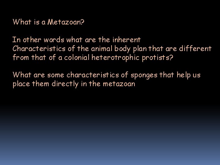 What is a Metazoan In other words what