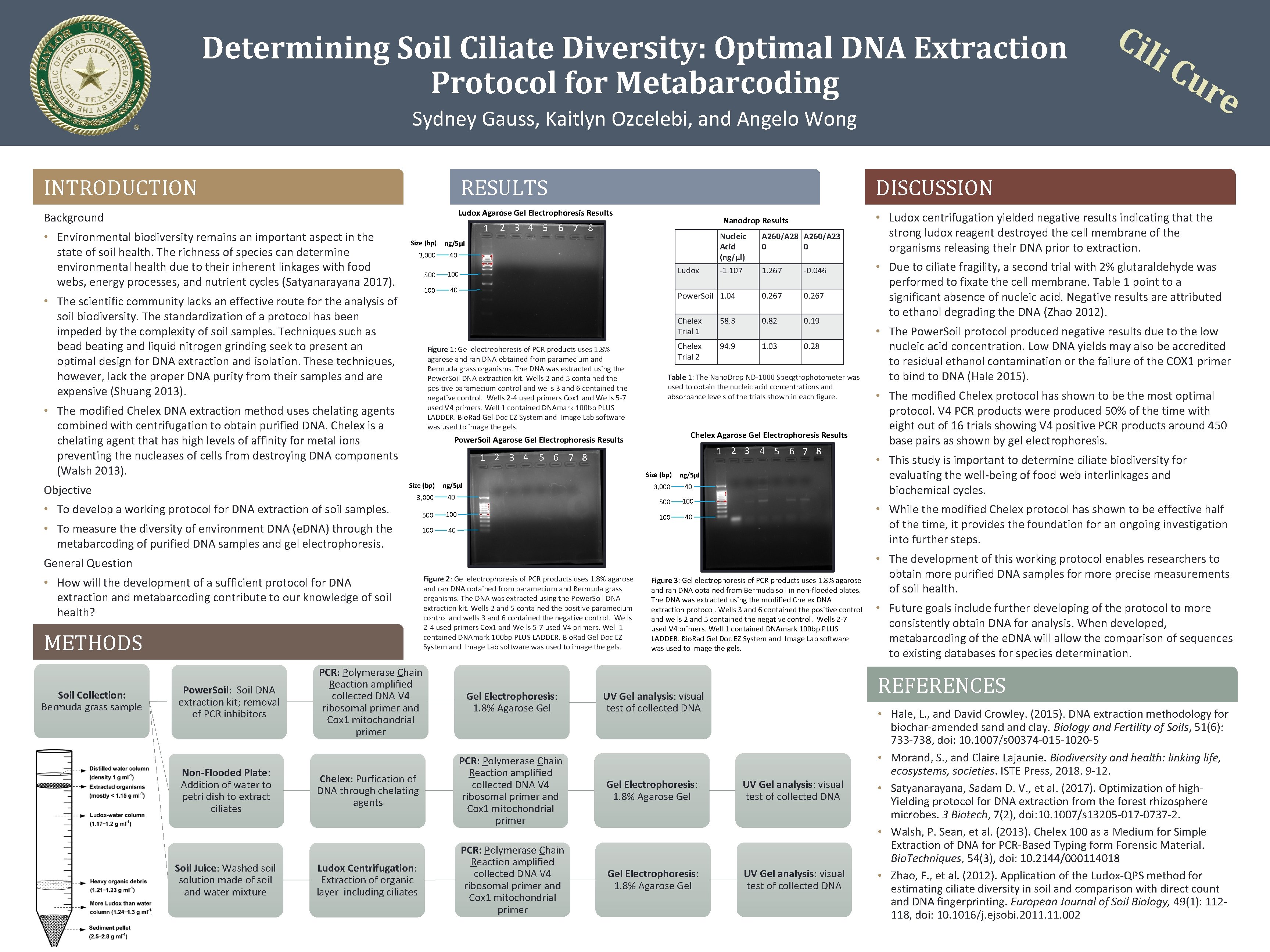 Determining Soil Ciliate Diversity Optimal DNA Extraction Protocol