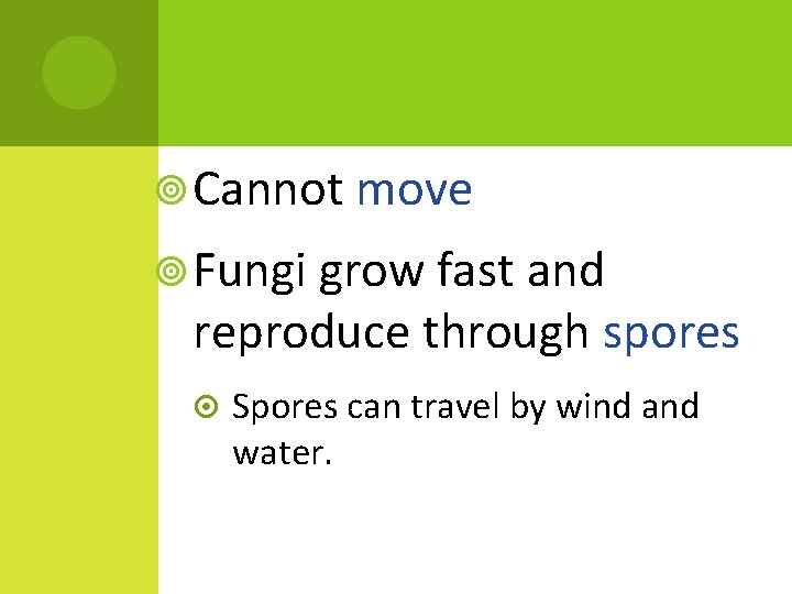 FUNGI EQ How do scientists classify fungi F