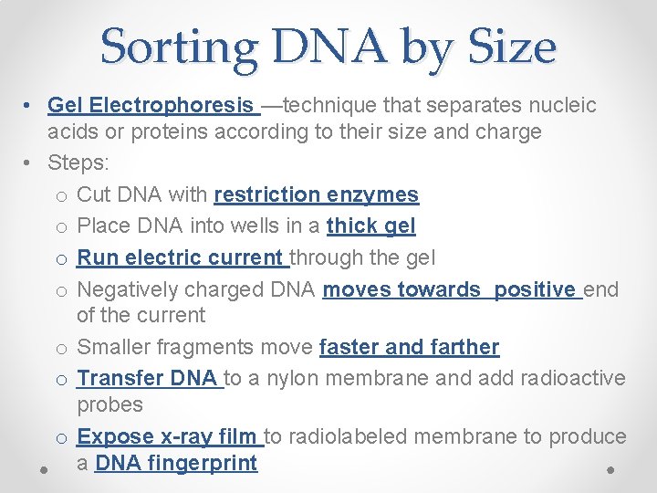 Chapter 13 Gene Technology Section 1 Vocabulary Pretest