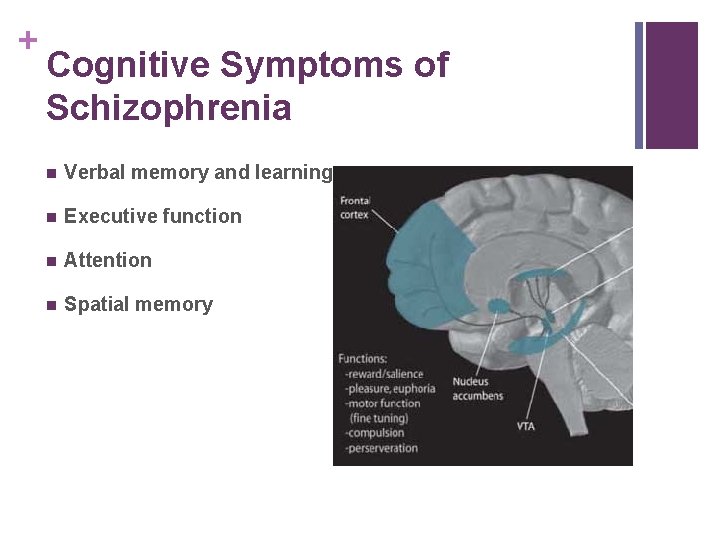 Schizophrenia Presentation for PHO Dr Verity Humberstone Overview
