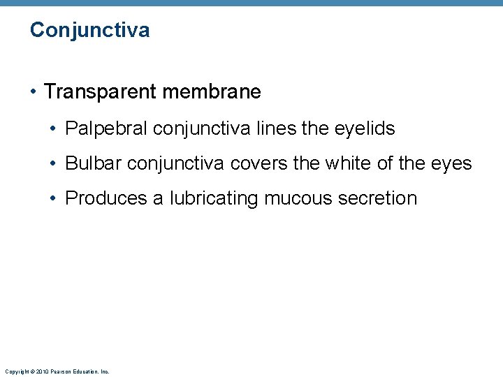 CHAPTER 15a THE SPECIAL SENSES Copyright 2010 Pearson