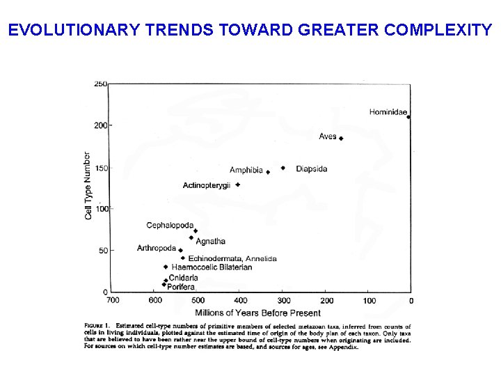 MACROEVOLUTIONARY TRENDS AND PATTERNS EVOLUTIONARY TRENDS TOWARD GREATER