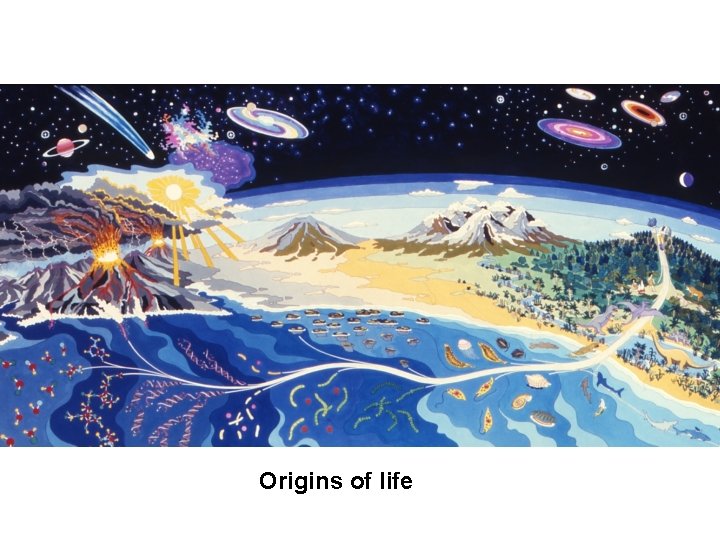 Origins of life MillerUrey experiment 1953 A M