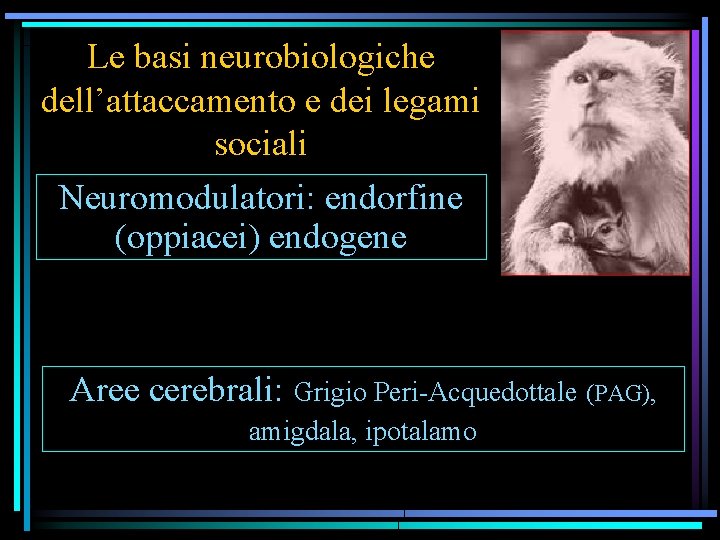 Neurobiologia delle emozioni Il sistema nervoso centrale periferico