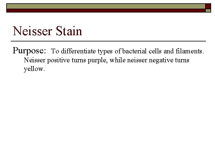 Microscopic Techniques to Troubleshoot Activated Sludge Problems and