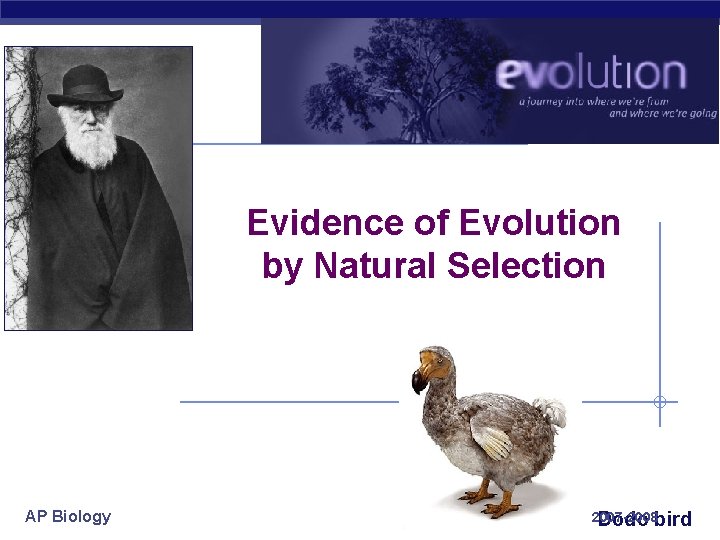 Evidence of Evolution by Natural Selection AP Biology