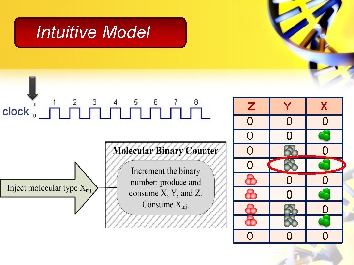Binary Counting with Chemical Reactions Aleksandra Kharam Hua