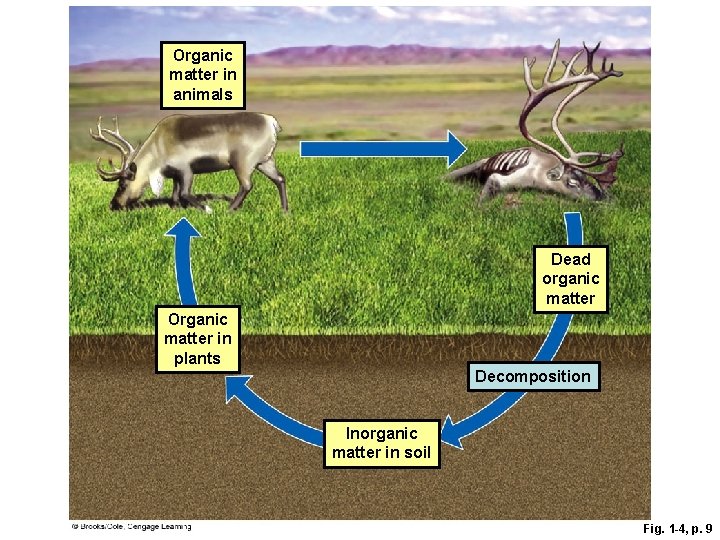 Environmental Problems Their Causes and Sustainability Chapter 1
