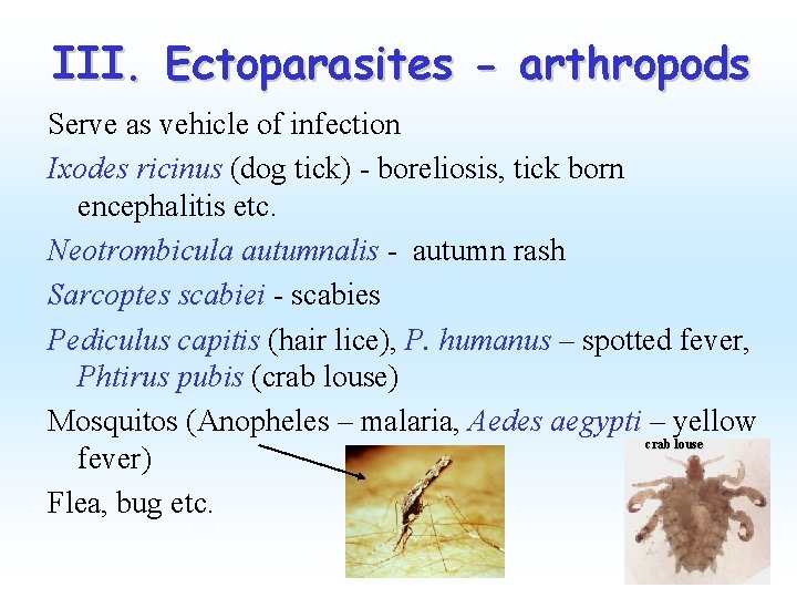 Parasites protozoa helmintes arthropoda G lamblia I Protozoa