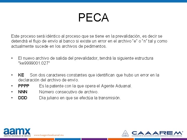 Pago Electrnico Centralizado Aduanero PECA En que consiste