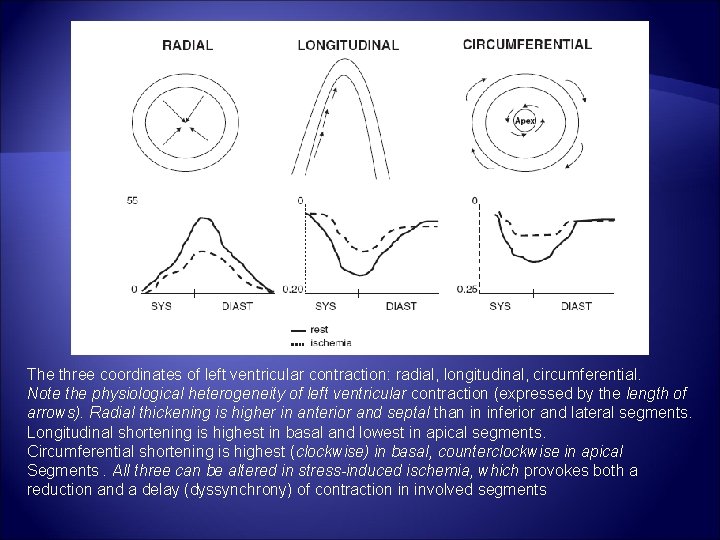BASIC CONCEPTS AND PRINCIPLES OF TISSUE VELOCITY AND