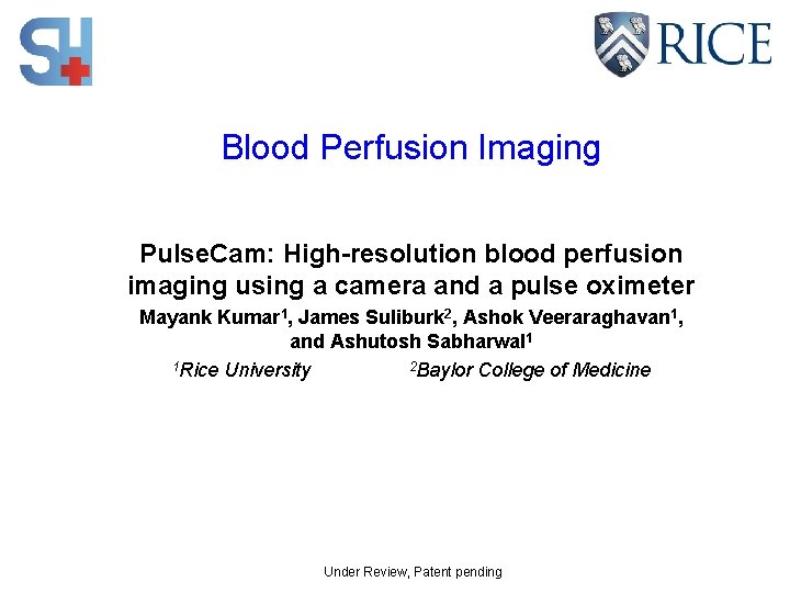 Blood Perfusion Imaging Pulse Cam Highresolution blood perfusion