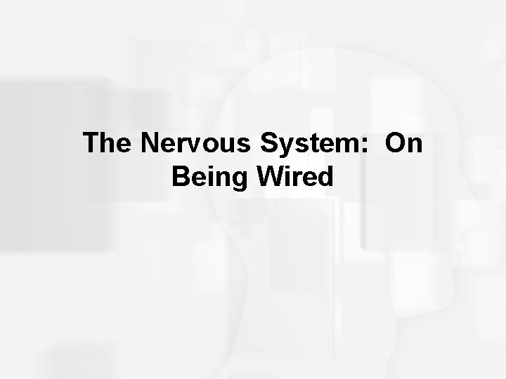 Chapter 2 Biology and Behavior Lecture 3 Learning