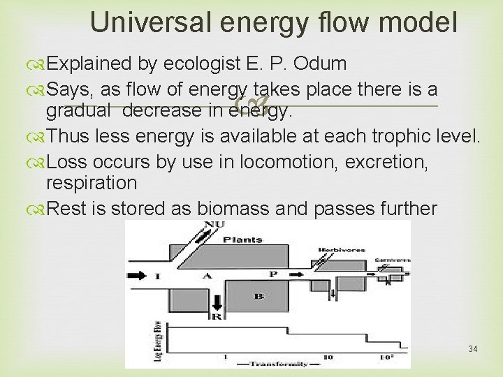 ECOSYSTEM Presented By Dr Swati Dixit 1 Concept