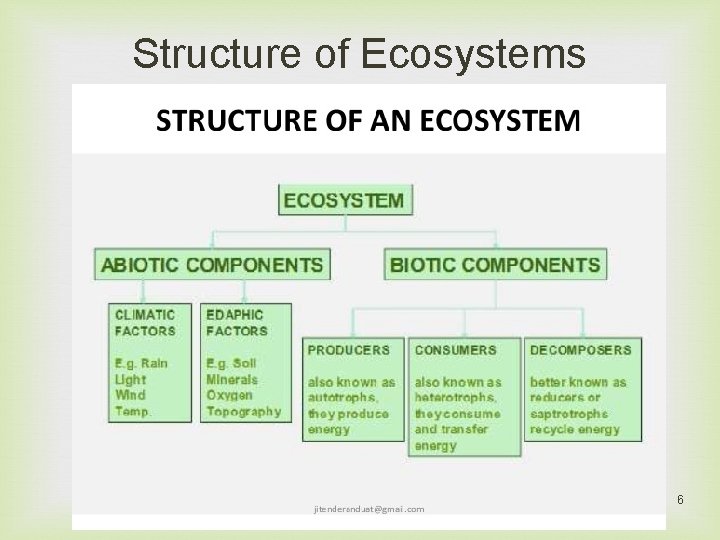 ECOSYSTEM Presented By Dr Swati Dixit 1 Concept