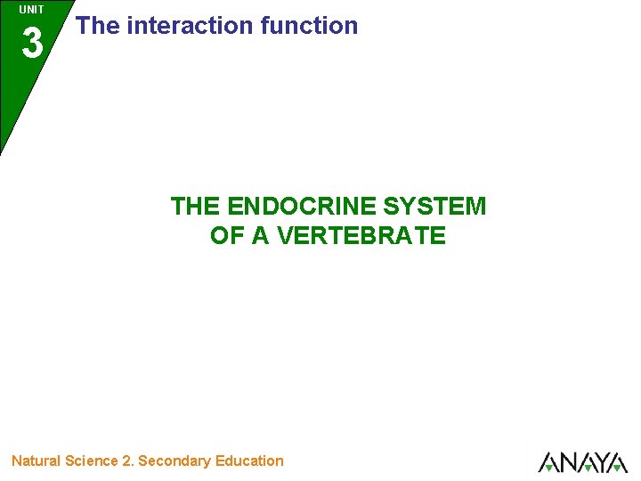 UNIT 3 The interaction function THE ENDOCRINE SYSTEM