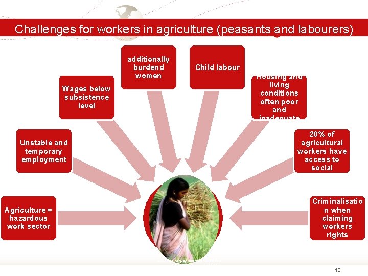 Modules on Sustainable Agriculture 12 MOSA Labour and