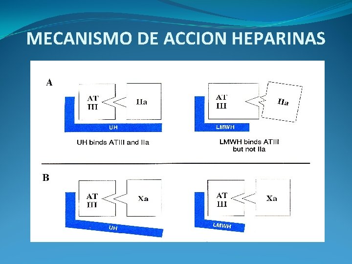 FACULTAD DE MEDICINA DEPARTAMENTO DE FARMACOLOGA CLNICA Y