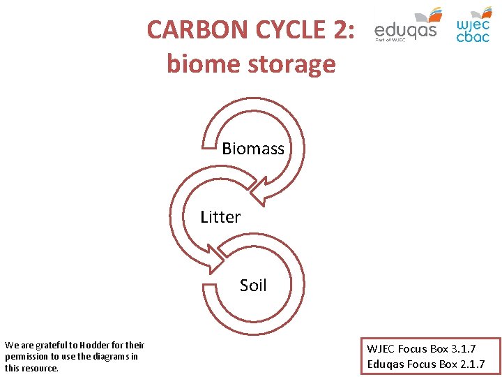 CARBON CYCLE 2 biome storage Biomass Litter Soil
