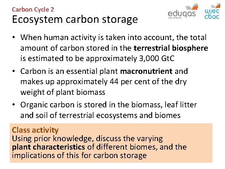 CARBON CYCLE 2 biome storage Biomass Litter Soil