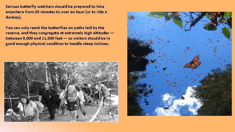 Lesson 2 2 3 Adding and Subtracting Integers