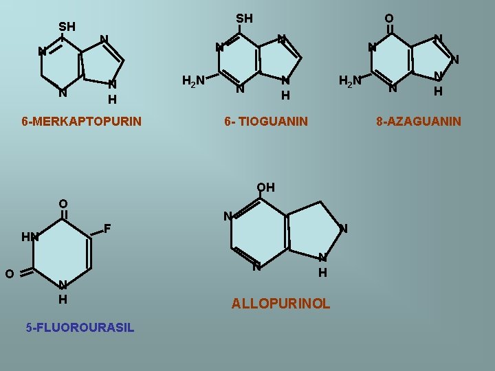 METABOLISME NUKLEOTIDA PURIN dan PIRIMIDIN OLEH DR WIDODO