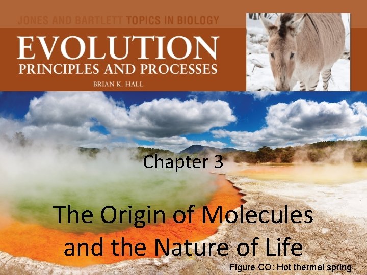 Chapter 3 The Origin of Molecules and the