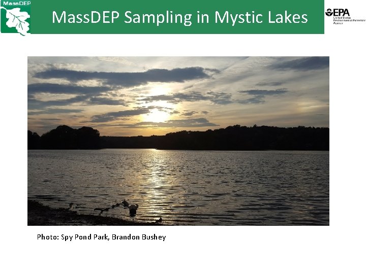 Mass DEP Sampling in Mystic Lakes Photo Spy