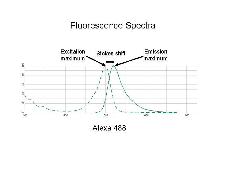 Fluorescence Microscopy Small Molecule Probes Kurt Thorn NIC