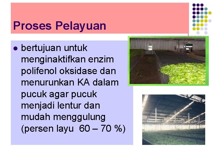 BAB 4 TEKNOLOGI PENGOLAHAN TEH TUJUAN PENGOLAHAN TEH